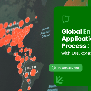 Tax ID Mexico (RFC): Guide for Citizens & Foreigners